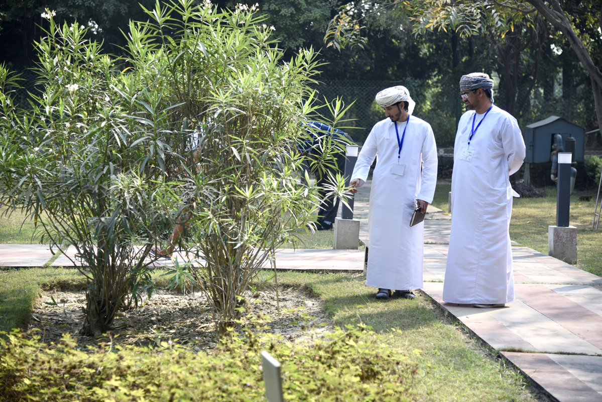 IORA-RCSTT COORDINATION CENTRE ON MEDICINAL PLANTS (ICCMP)